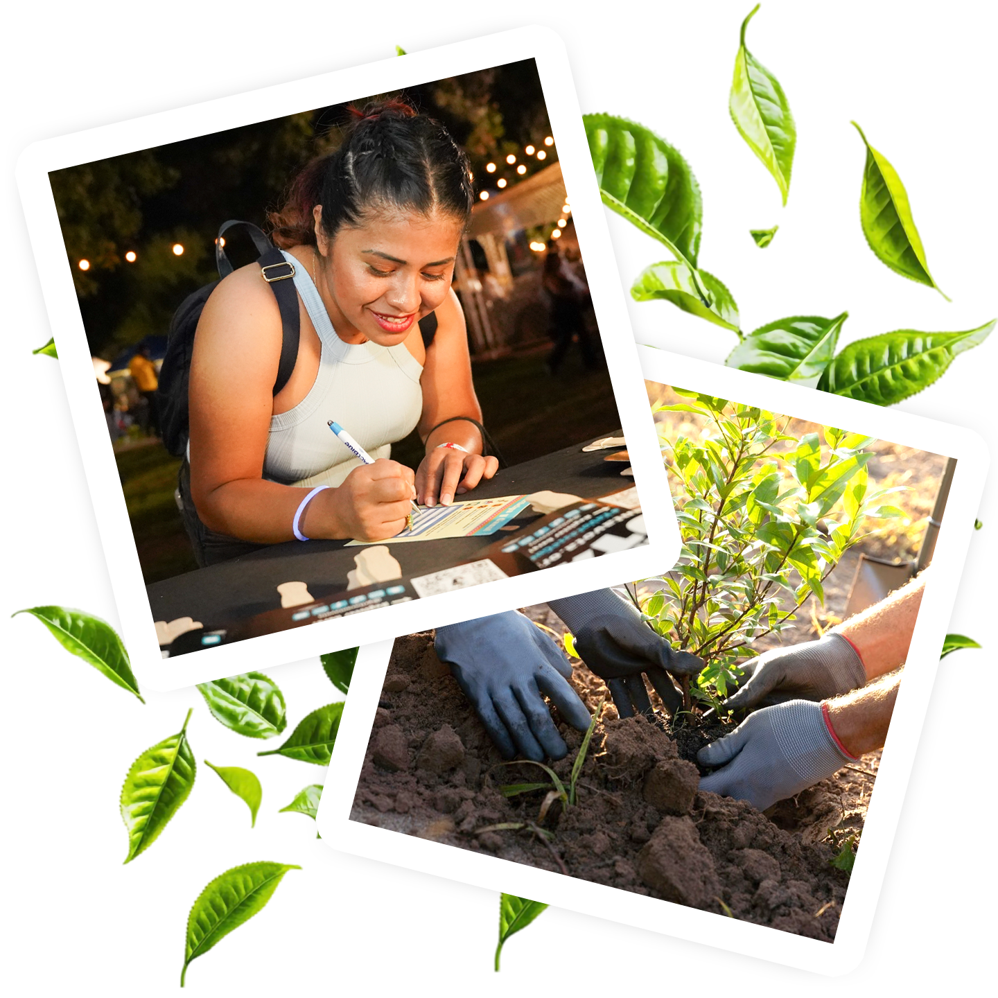 Join the Movement - El Verde es Vida